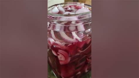 양파 와인 만들기 Youtube