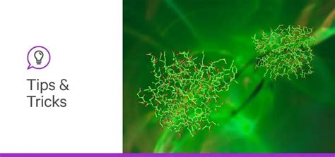 Everything We Know About Lectin Structure Classification And Function