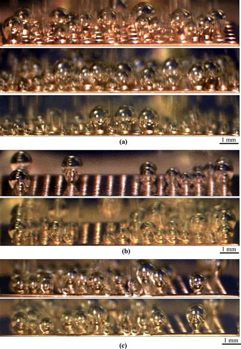 Recorded Photographs Of Growing Bubbles In Saturation Nucleate Boiling Download Scientific