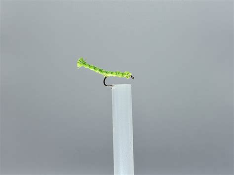 Inch Worm • Flyfish Circle