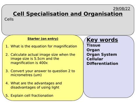 Cell Specialisation And Organisation Aqa A Level Teaching Resources