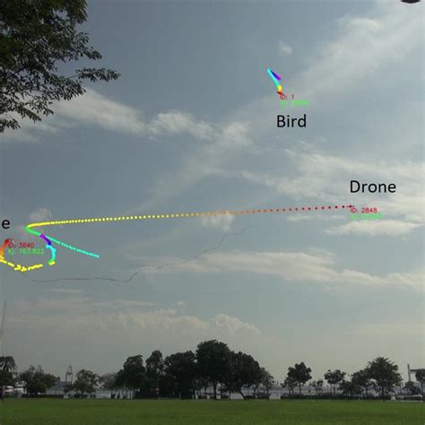 Results From Multi Class Linear Support Vector Classification With Download Scientific Diagram