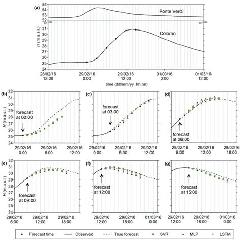 Example Of Application For Real Time Forecasting Of Flood Stages In Download Scientific Diagram