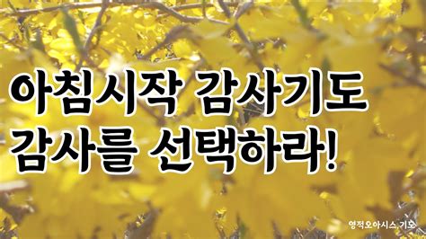 하루시작 감사기도 감사를 선택하라 하루를 시작하는 기도문 아침을 여는 기도 Youtube