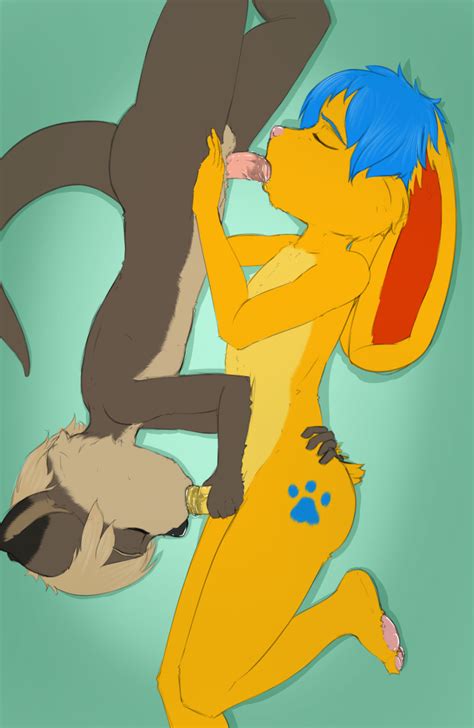 Rule 34 69 2015 Anthro Balls Blue Hair Brown Fur Closed Eyes Diegoandfriends Fellatio Fur Hair