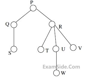 GATE CSE Set Trees Question Data Structures GATE CSE ExamSIDE