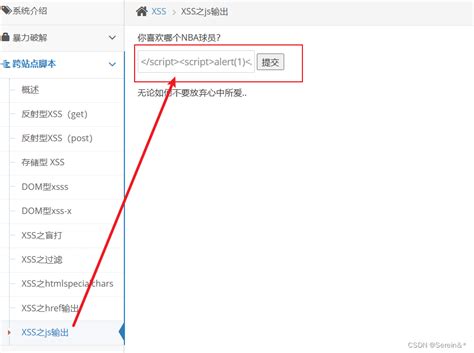 Xss平台偷取cookie使用xss漏洞 Csdn博客