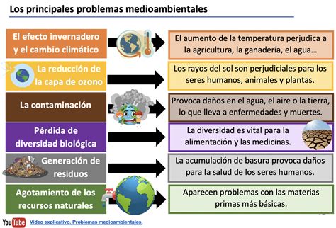 Somos Un Gran Equipo ¿cÓmo Podemos Cuidar Los Ecosistemas