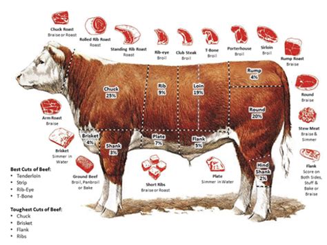 Types Of Steaks Ranked