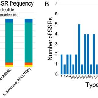 Simple Sequence Repeat SSR Number Per Distribution And Repeat Type Of Download Scientific