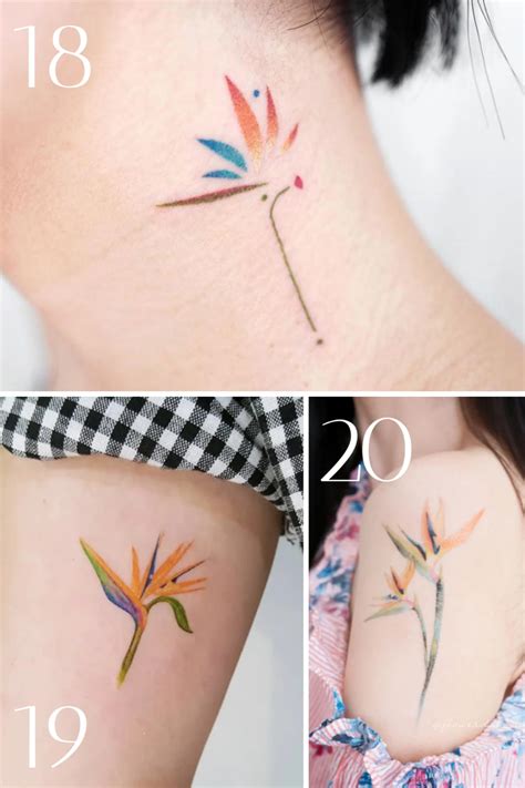 Bird Of Paradise Flower Tattoo Meaning