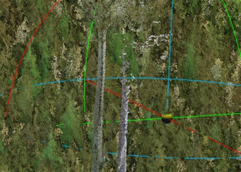 Chapter 12 Lidar Processing Workflow Guidelines And Procedures For Drone Based Phenotyping In