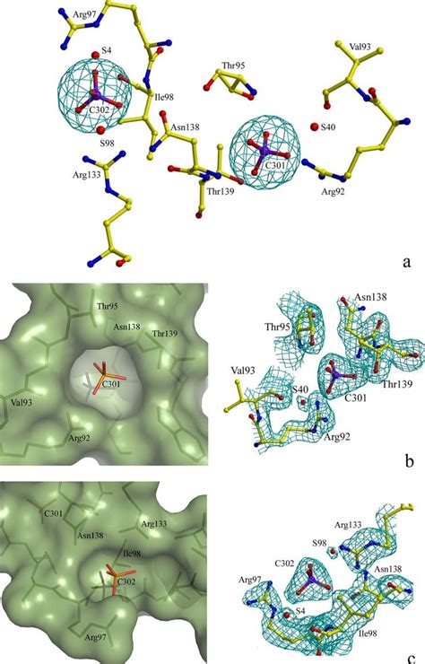 The Phosphate Binding Pocket And Its Influence On The Function Of