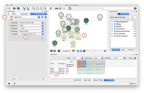 Creating Networks In Other Apps — Enrichmentmap 350 Documentation