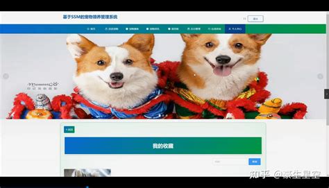 开题报告 Python计算机毕业设计宠物领养管理系统附源码 知乎