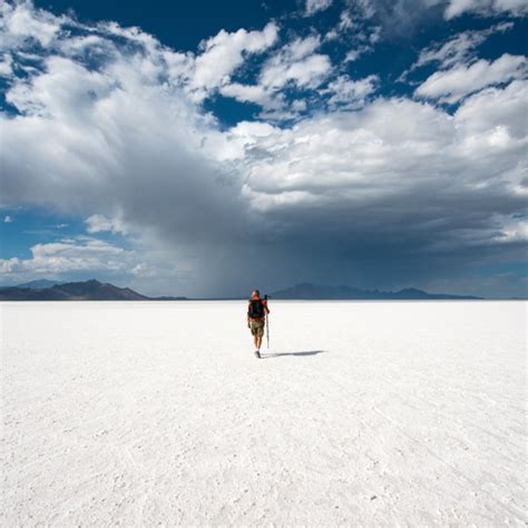 Trends In Organizational Structure Is Flatter Better Apriori Ag