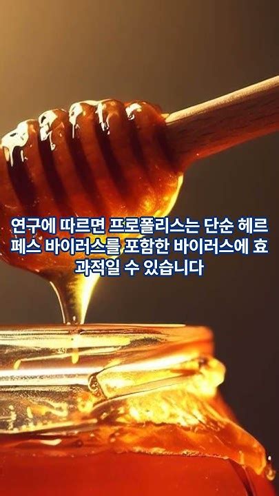 프로폴리스는 꿀벌이 생산하는 천연 항생물질입니다 Youtube
