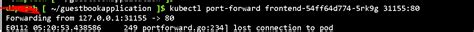 Nodeport Service Is Not Showing The Application Coming Up With Page