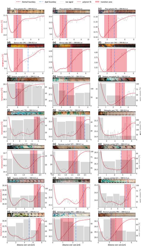 Temperature Profiles Of Increment Cores Taken By Thermal Imaging Three
