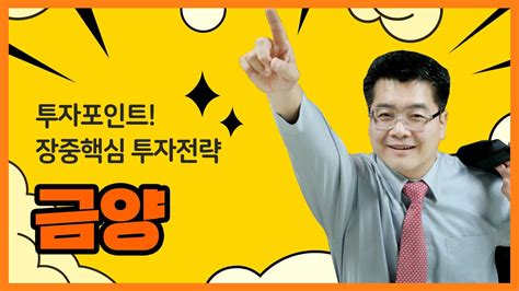 금양 실시간 주가 전략 주가 상승 발포제 제조업 부각 And 배터리·소재·수소 사업 기대감 Youtube