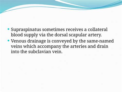 Supraspinatus Muscle Trigger Points Release Pptx