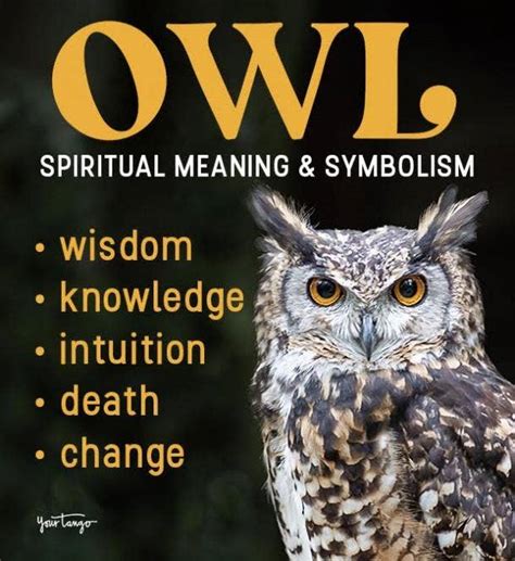 Owl Symbolism And The Spiritual Meaning Of Seeing Owls Yourtango