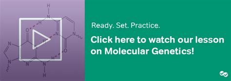 Mcat Review Topic Molecular Genetics Magoosh Mcat Blog