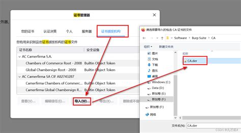 【网络安全】渗透测试工具——burp Suite Csdn博客