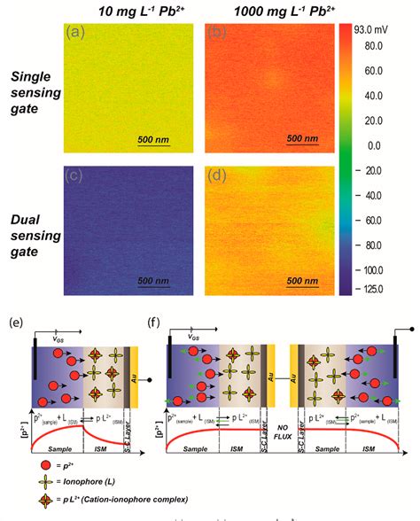 Figure From Dual Gated Transistor Platform For On Site Detection Of Lead Ions At Trace Levels