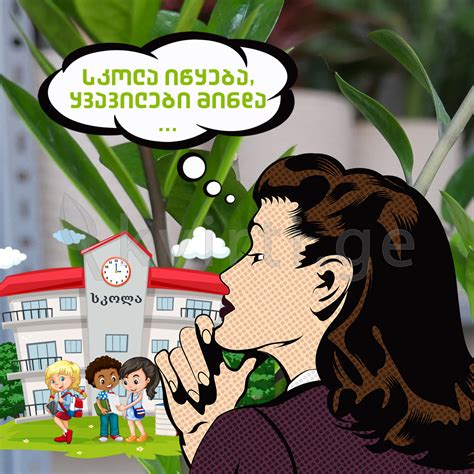 მცენარეები საკლასო ოთახისთვის 🪴🪴 ზამიოკულკასი კალანხოე 25 ლარად სურათებში რეალურ მცენარეებს და