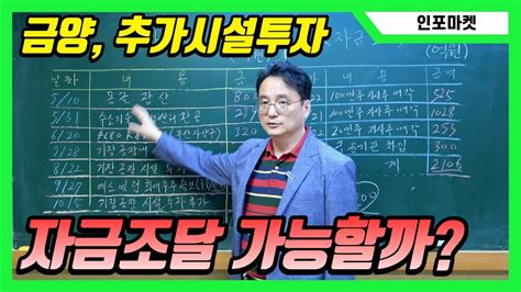 금양 추가시설 투자 자금 조달 과연 가능한가 부족액이 1조원이 넘는데 류광지 일가와 일반주주 중 누가 얼마나 희생할까 인포마켓 강용운 대표 Youtube