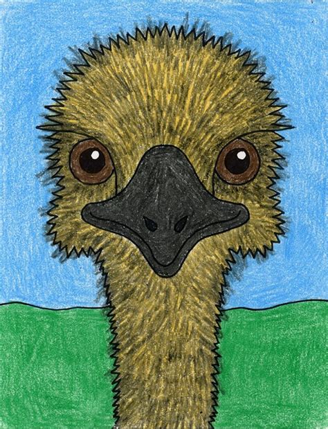 Easy How To Draw An Emu And Emu Coloring Page