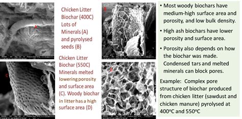 The Properties Of Fresh And Aged Biochar Biochar For Sustainable Soils