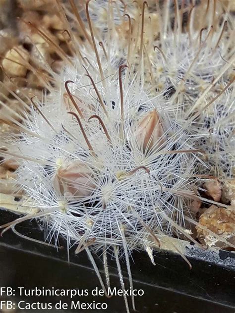 20180416 Servimg Com Free Image Hosting Service