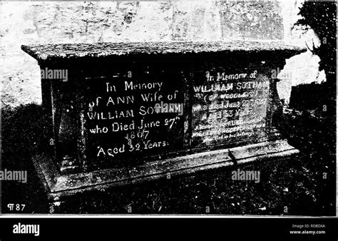 History Of Hereford Cattle Proven Conclusively The Oldest Of