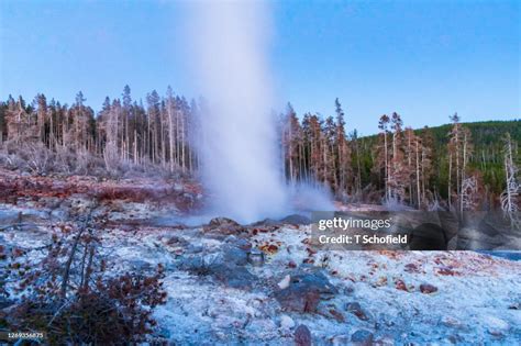 Steamboat Geyser Norris Geyser Basin Yellowstone National Park High Res