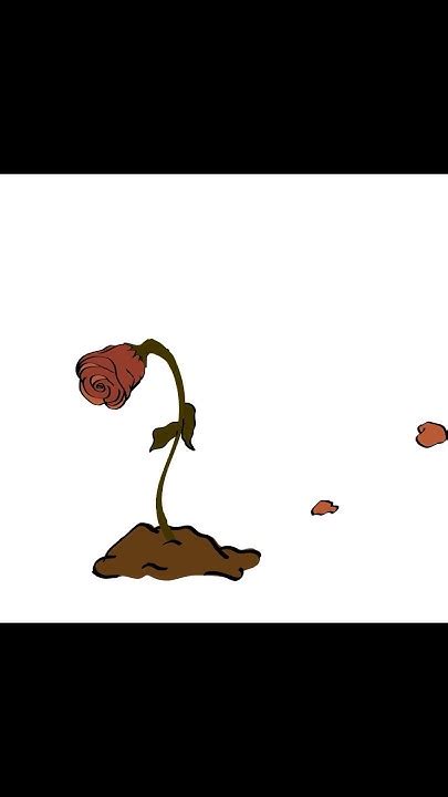 Моя любимая адаптация Красавица и чудовище мультфильм 1991 года Анимация Роза Youtube