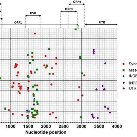 Intra Host Variants Detected For Ttvh5uy Variant Frequency For Each