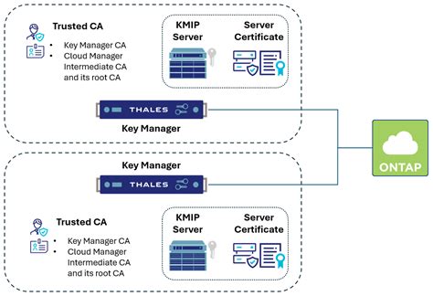 netapp ontap data management software