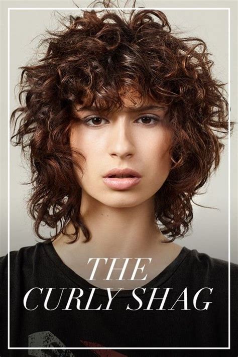 Curly Hairstyle Looks Curly Hair Styles Curly Shag Haircut Haircuts