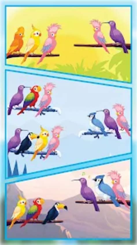 bird sort color birds game for android download