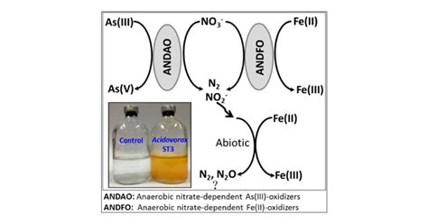 Cryoelectron Microscopy Reconstructions Of The Pseudomonas 42 Off