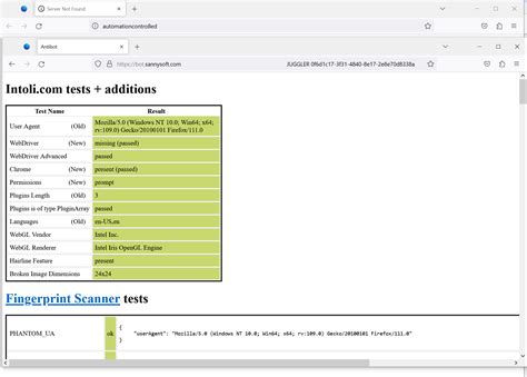 Javascript Playwright Puppeteer Extra Plugin Stealth Example With Firefox Not Finishing