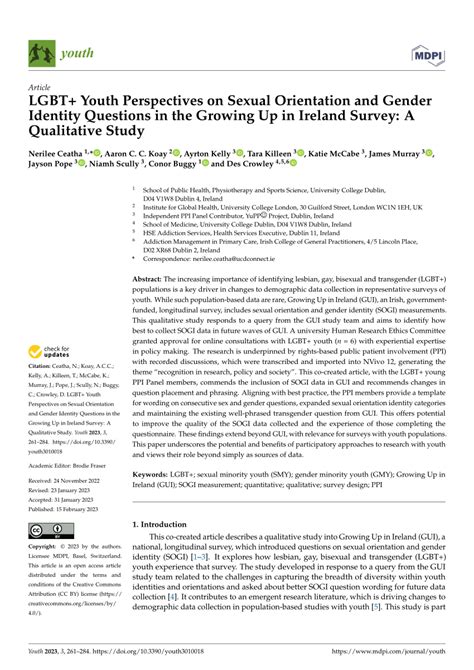 PDF LGBT Youth Perspectives On Sexual Orientation And Gender Identity Questions In The