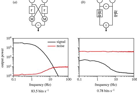 Correlation Versus Gradient Type Motion Detectors The Pros And Cons