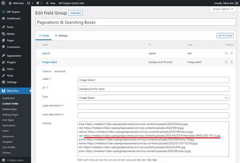 adding paginations and searching box to custom fields meta box