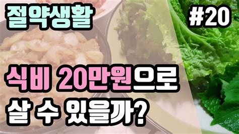 생활비절약 절약 식비절약 생활비줄이기 짠테크 가계부 한달식비 20만원 도전 성공 할 수 있을까 Youtube