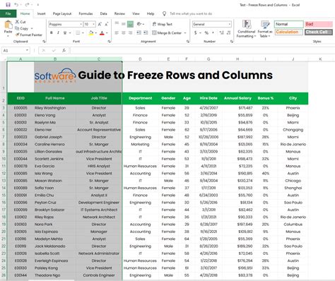 How To Freeze Rows And Columns In Excel Ultimate Guide 2024