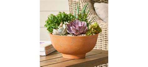 Better Homes And Gardens Walmart Line Just Dropped Gorgeous New Planters