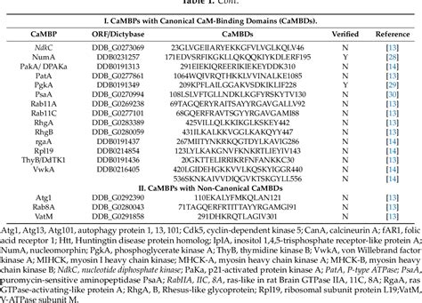 Figure 1 From Calmodulin And Calmodulin Binding Proteins In Dictyostelium A Primer Semantic